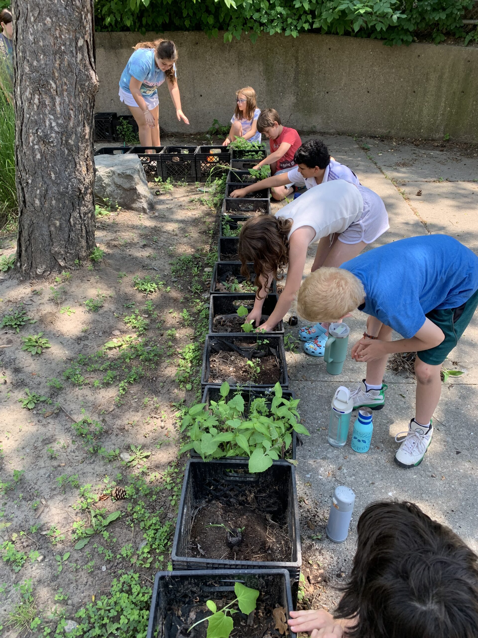 The Tikkun Project - Leo Baeck Day School